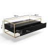 Rectangular Black and Gold Glass Top Coffee Table with Storage - Akila ...