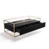 Rectangular Black and Gold Glass Top Coffee Table with Storage - Akila ...