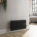 Reggio Anthracite Horizontal Double Column Traditional Radiator ...