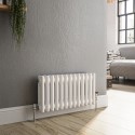 Reggio Anthracite Horizontal Double Column Traditional Radiator ...